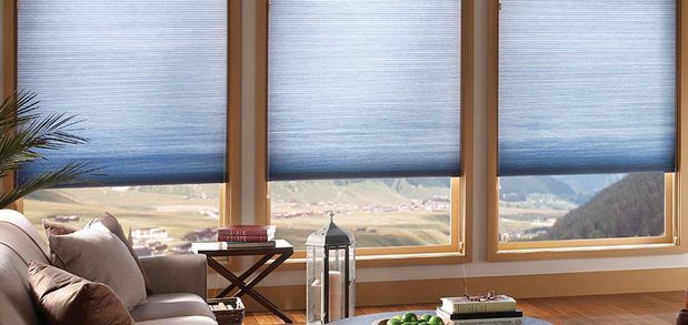 Savor the Sun this Fall with Light Filtering Shades | THE BLINDS SPOT
